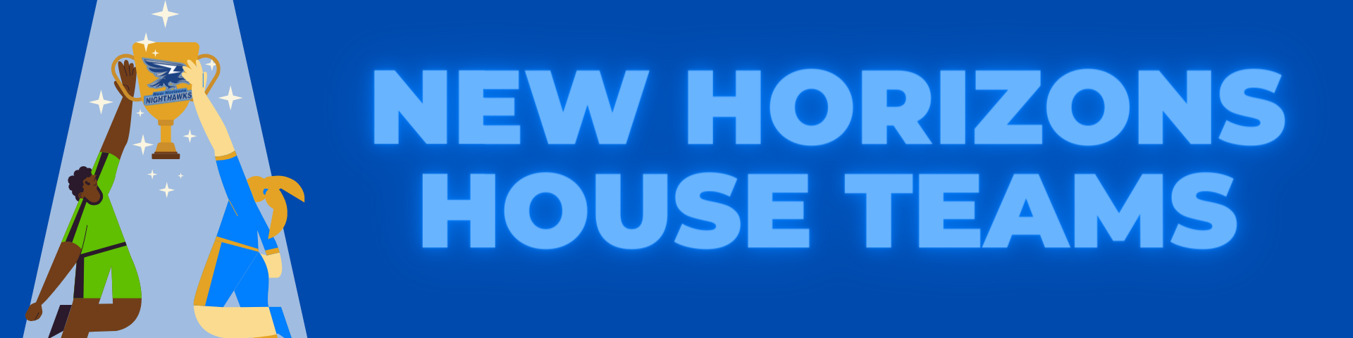 NHS House Teams - New Horizons School