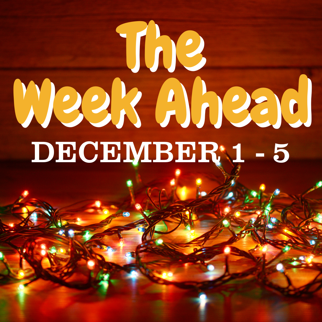 The Week Ahead: Dec. 1 - 5 - New Horizons School